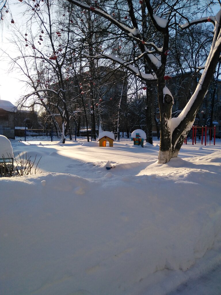 Anaokulları Kindergarten No. 89 Oduvanchik, Riazan, foto