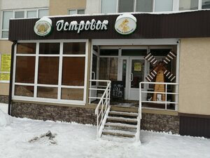 Островок (Olimpiyskaya Street No:15, Village of Zasechnoe), bira dükkanı  Penzenskaya oblastından