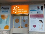 Clínica das Mimosas (Viana do Castelo, Rua Padre Himalaia), optik  Viana do Castelo'dan