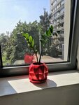 White Home (Olimpiyskiy Avenue No:вл13с1кБ), emlak ofisi  Mytişçi'den