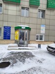 Бухгалтер Минаева А. В. (Nikolai Ostrovsky Street No:49к4), muhasebeciler  Novosibirsk'ten