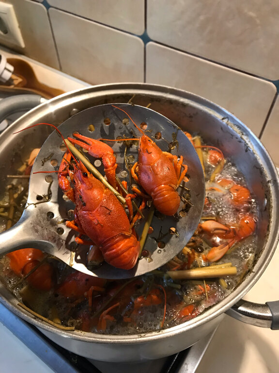 Bira dükkanı Варница, Rostov‑na‑Donu, foto