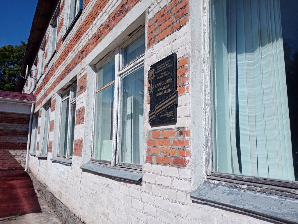 Anıt levhası, anıt taş Герою Советского Союза А.Н. Картошкину, Kalujskaya oblastı, foto