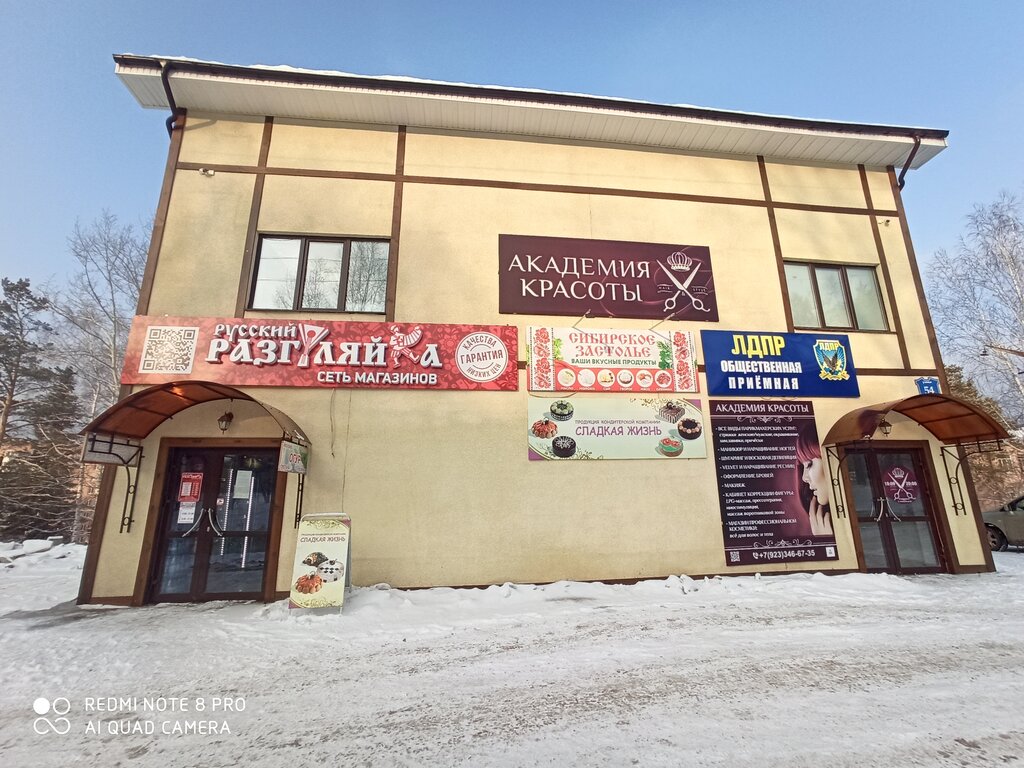 Sivil toplum kuruluşları ЛДПР общественная приёминая, Divnogorsk, foto