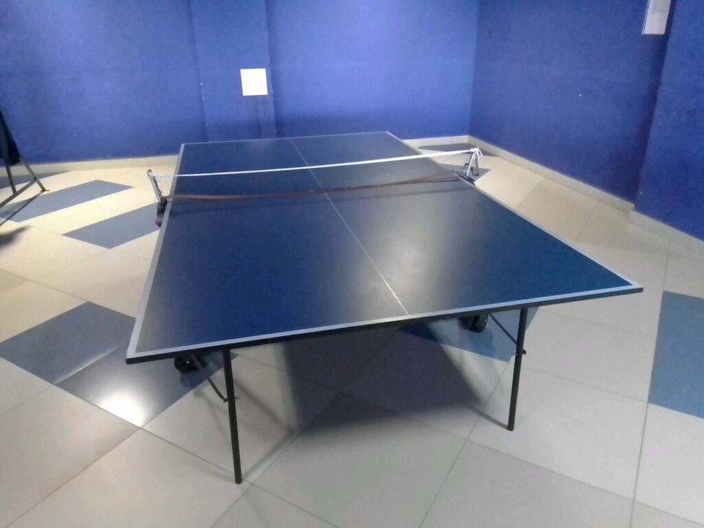 Spor kulüpleri Настольный теннис, Gomel, foto
