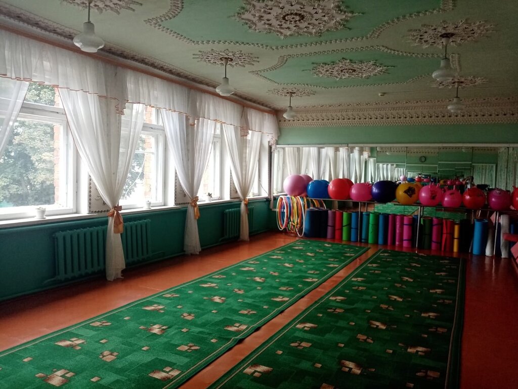 Kurs MBOU DOD TsRTDiYu, Brianskaya oblastı, foto