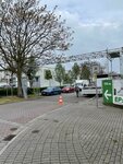 Scheel Gerüstbau GmbH (Rhineland-Palatinate, Ludwigshafen am Rhein, Güterhallenstraße), i̇nşaat malzemeleri toptan  Baden‑Wurttemberg'den