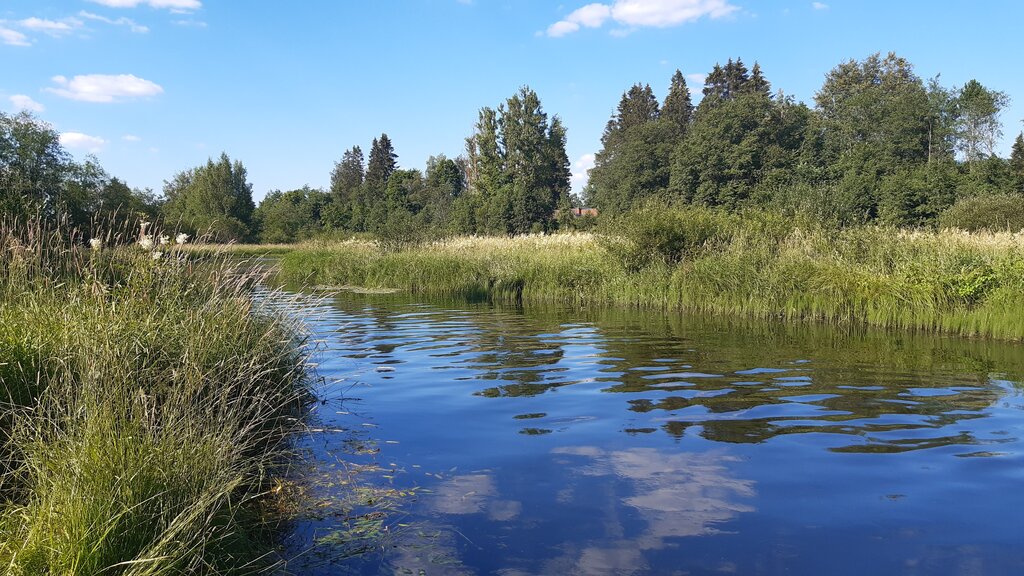 Plaj Пляж, Saint‑Petersburg ve Leningradskaya oblastı, foto