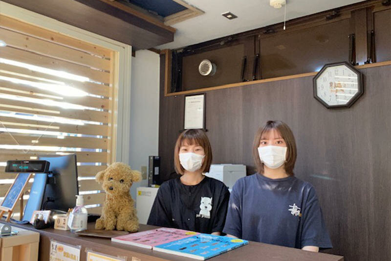 Evcil hayvan kuaförleri Dogking（ドッキング）三ツ境店, Yokohama, foto