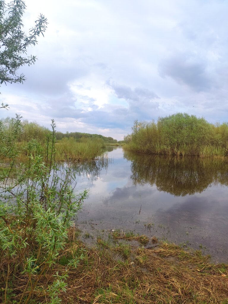 i̇skele Jetty , Arhangelskaya oblastı, foto