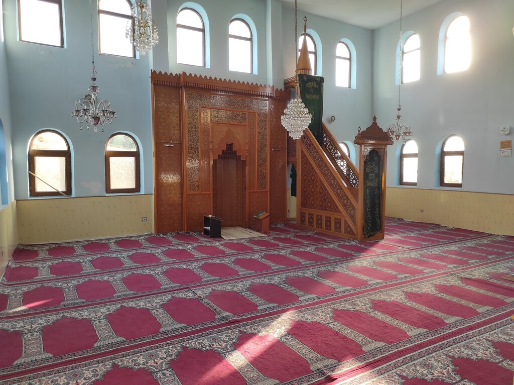 Cami İçme Köyü Hafız Efendi Cami, Elazığ, foto