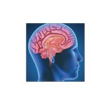 Clinica De Neurofisiologia (Managua), hastaneler  Managua'dan