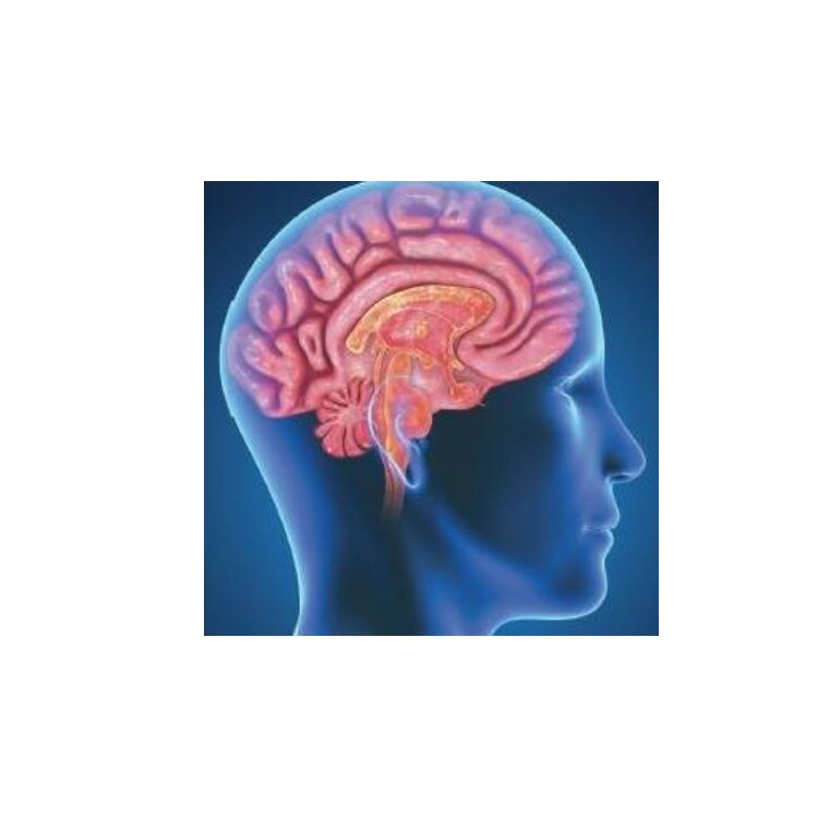 Hastaneler Clinica De Neurofisiologia, Managua, foto