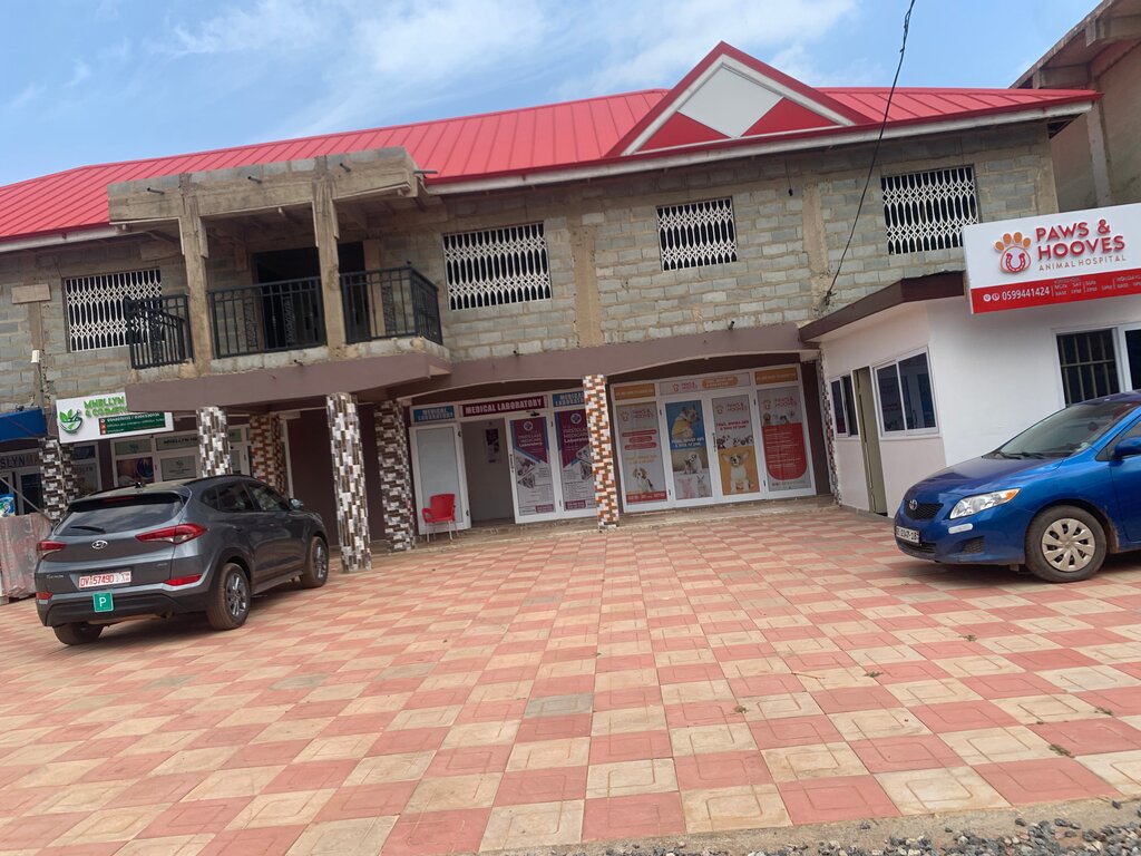 Alternatif tıp merkezleri Mhellyn Herbal Center, Dünya, foto