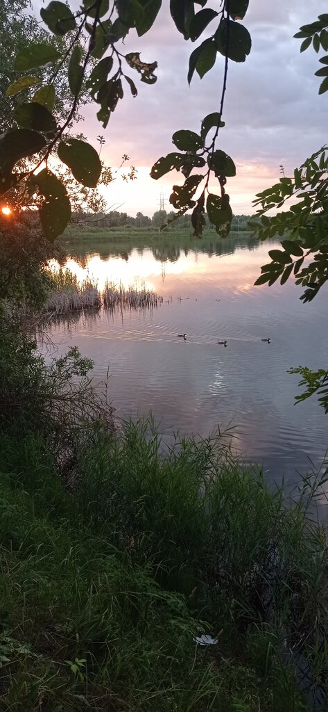 Plaj Пляжная раздевалка, Moskova ve Moskovskaya oblastı, foto