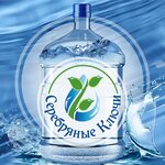Серебряные ключи (Prazhskaya Street No:19, mikrorayon Matmasy), su satışı  Tiumen'den