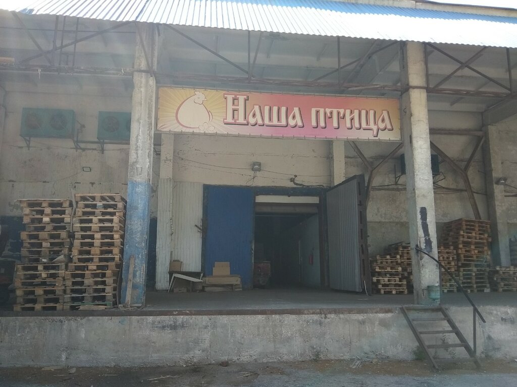 Kanatlı hayvan ürünleri ve yumurta Наша птица, Saratov, foto