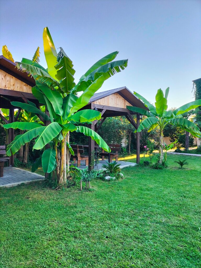 Otel Guesthouse Apsynra, Gagra Bölgesi, foto