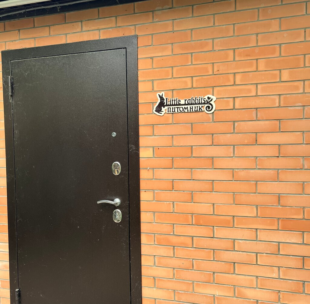 Evcil hayvan yetiştiricileri Little Rabbits, Rostov‑na‑Donu, foto