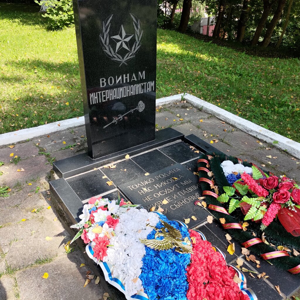 Anıt, heykel Воинам-интернационалистам, Neman, foto