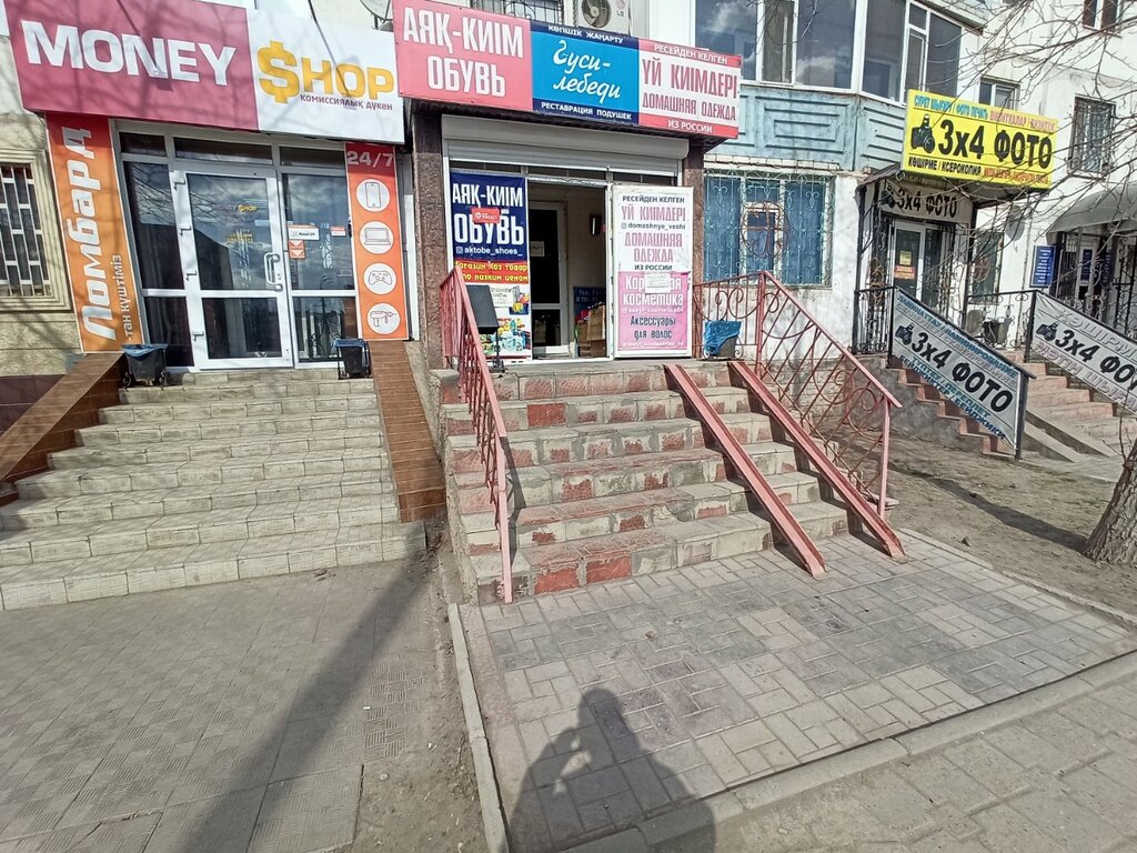 Terziler Gusi-lebedi, Aktöbe, foto