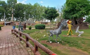 Hayvanat bahçeleri Veli Çayırı, Alaca, foto