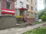 Единый центр страхования (Lenin Avenue No:44Г), araç sigorta şirketleri  Nijni Novgorod'dan