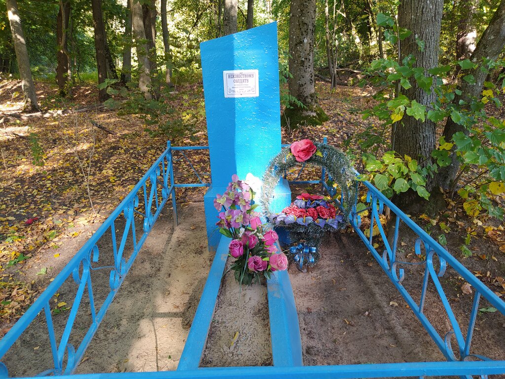 Anıt, heykel Братская могила, Brianskaya oblastı, foto