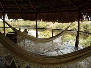 Amazon Island Jungle Lodge (Amazonas, Manaus, Rodovia Lg. de Manaus), otel  Amazonas'tan