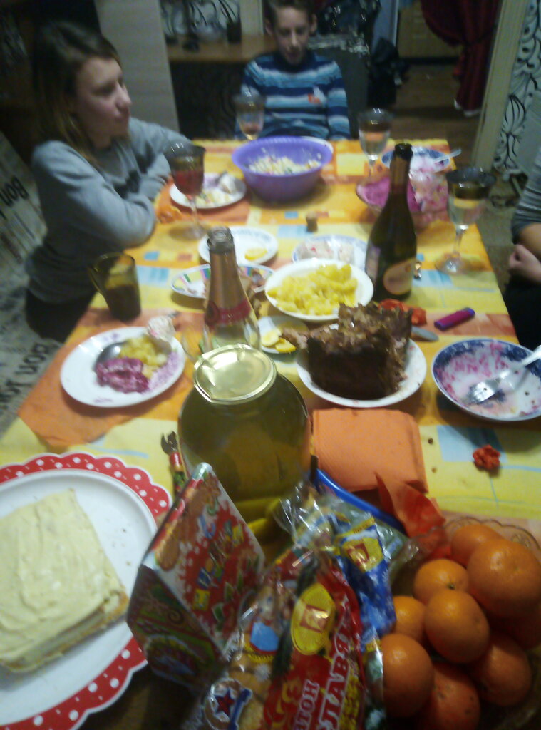 Yazlık ev inşaatı Новый дом, Pskovskaya oblastı, foto