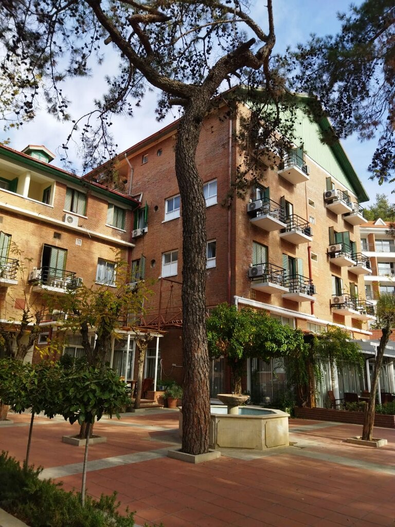 Otel Forest Park Hotel, Dünya, foto