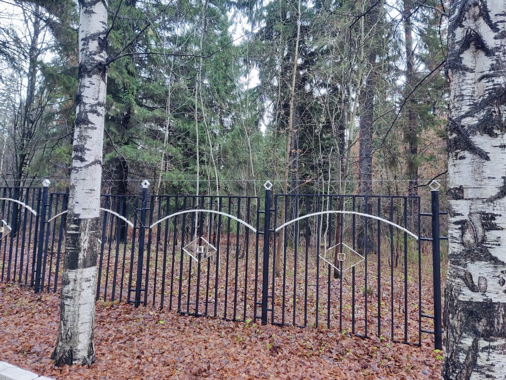Tıp merkezleri ve klinikler Металлург, Izhevsk, foto