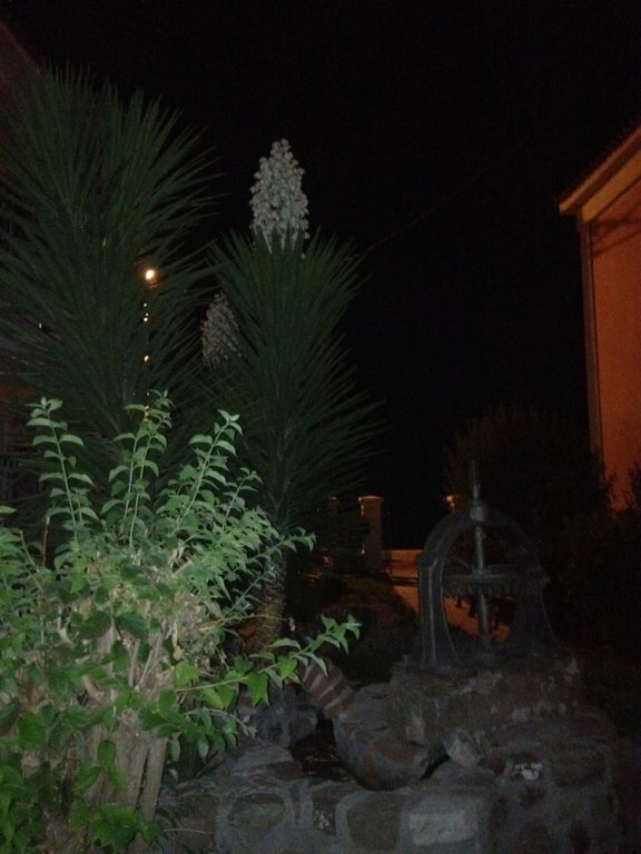 Otel Michaelia, Dünya, foto