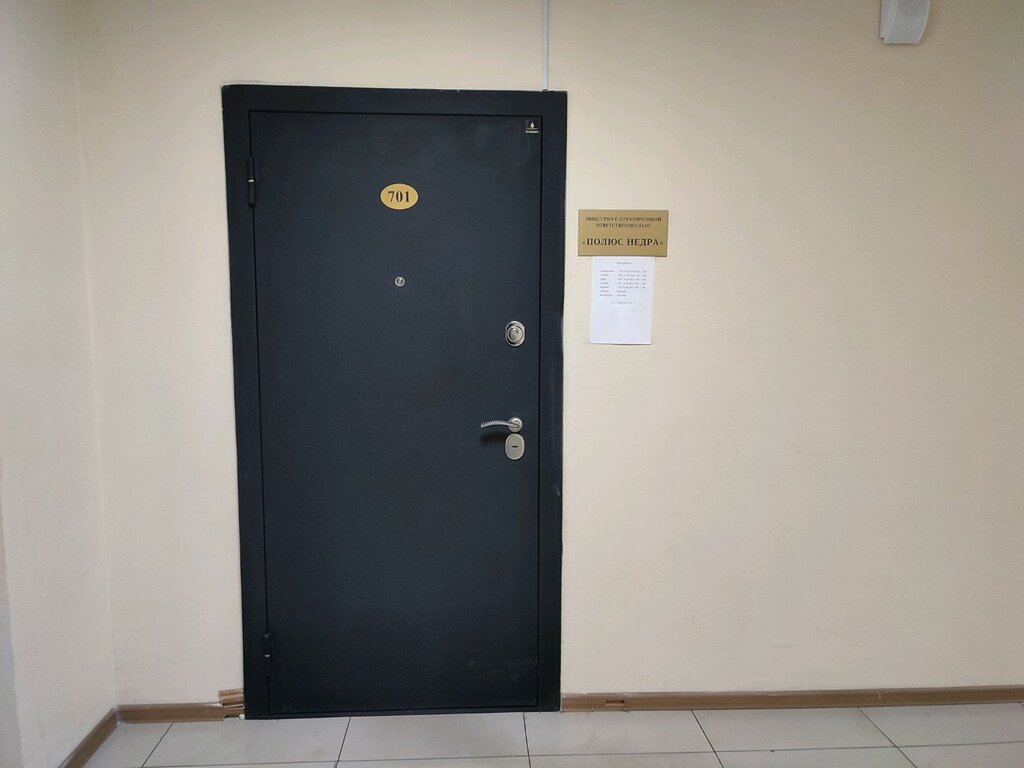 Madencilik işletmeleri Полюс недра, Çita, foto