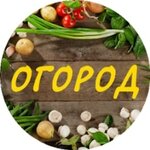 Ogorod (Industrialnaya Street No:32, zhiloy rayon Lipovaya Gora), tohum satan yerler  Yaroslavl'dan