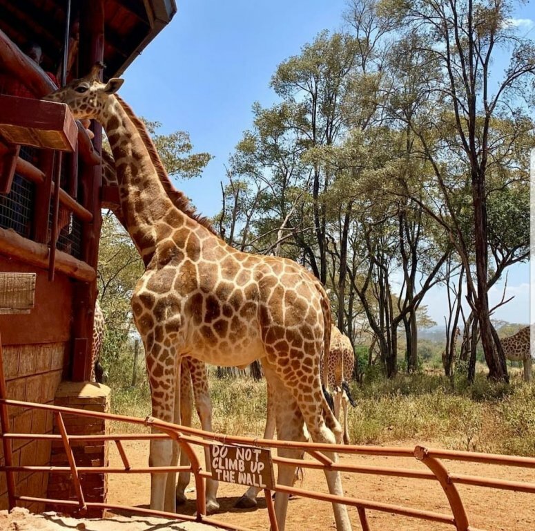 Otel Hotel Troy Nairobi, Nairobi, foto