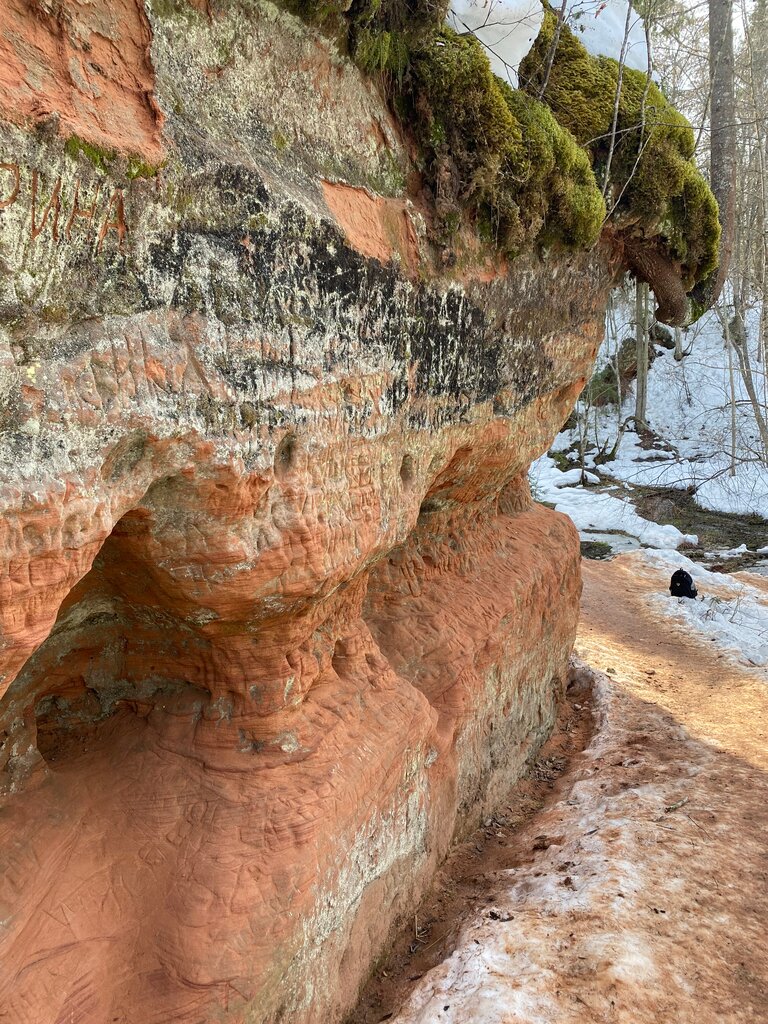 Pınar, çay Spring, stream, Saint‑Petersburg ve Leningradskaya oblastı, foto