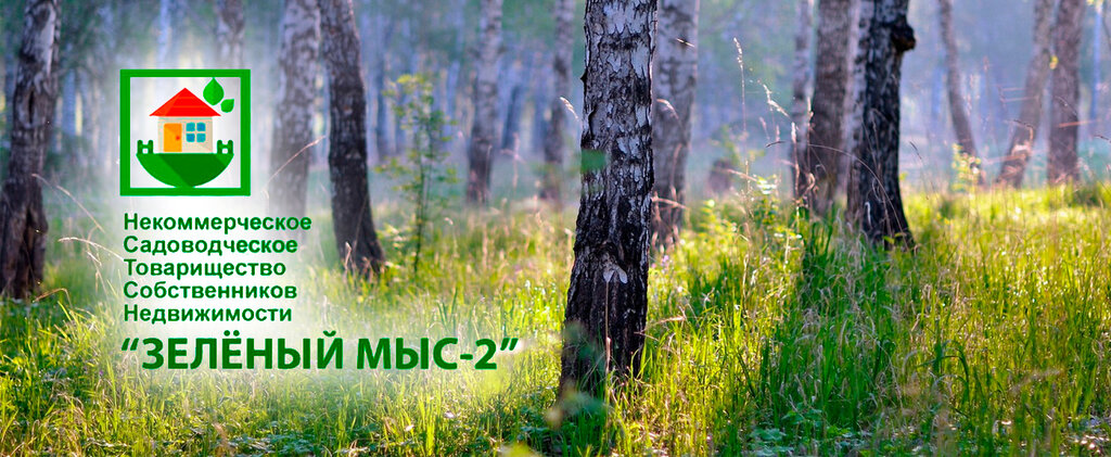 Bahçecilik dernekleri ve kuruluşları Нс ТСН Зелёный мыс-2, Novosibirsk, foto