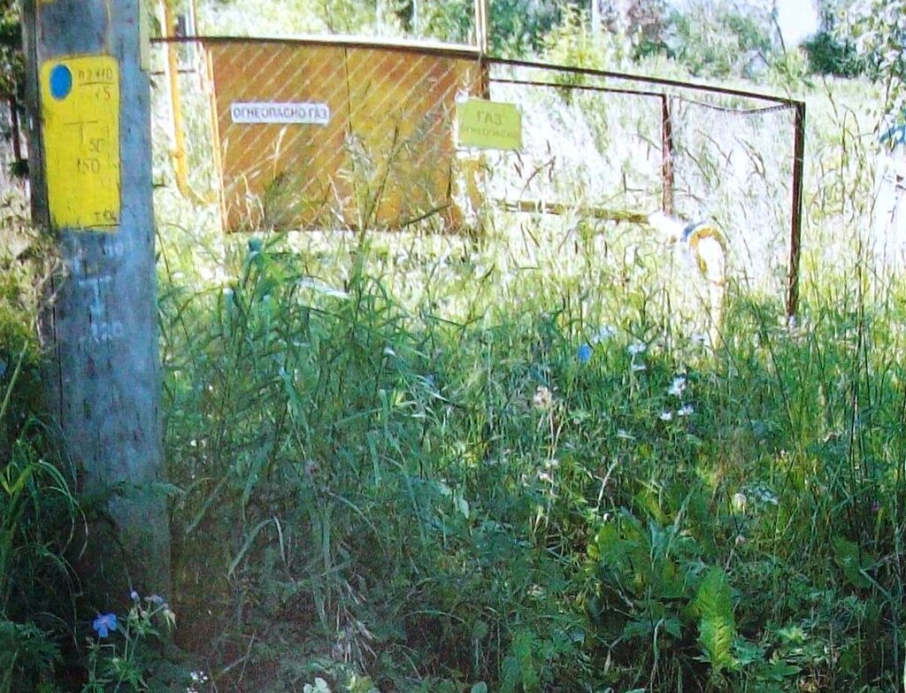 Mühendislik altyapısı Газорегуляторный пункт шкафной, Novgorodskaya oblastı, foto