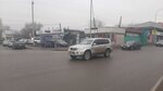 Compound Feed (Raıymbek kóshesi No:1/1), yem ve yem katkı maddeleri  Kaskelen'den