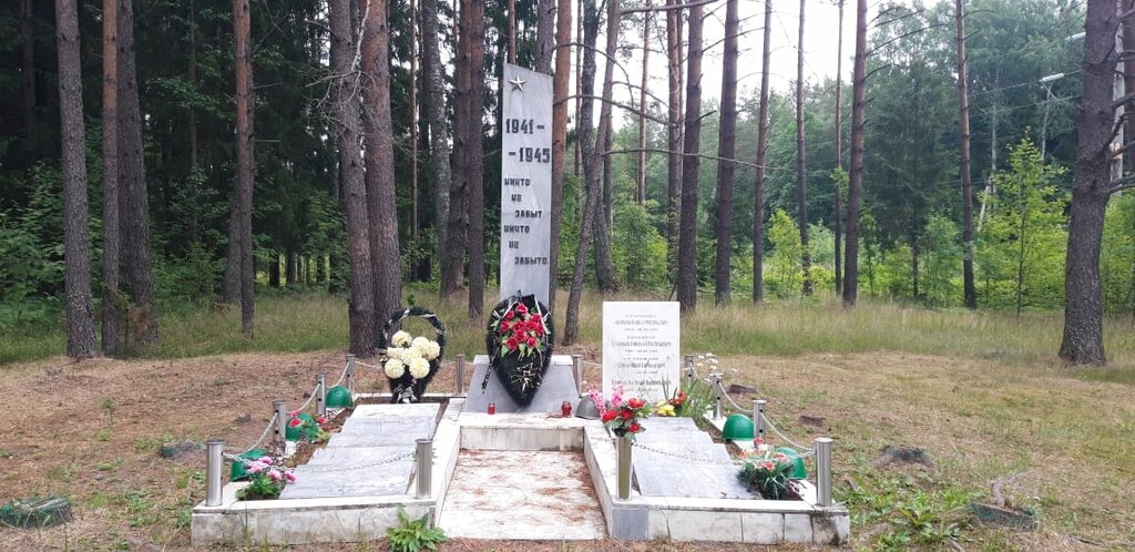 Anıt, heykel Братская могила, Pskovskaya oblastı, foto