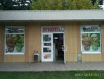 Яна (Oktyabrskaya ulitsa No:471Б), market  Essentuky'den