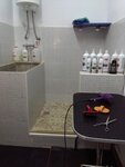 Aqua Dog Peluqueros Caninos (Calle Cardenal Benlloch No:13, Algemesi), evcil hayvan kuaförleri  Castellon de la Plana'dan