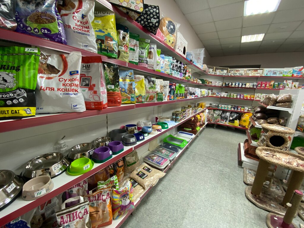 Petshop Зоомаркет, Krasnoyarski krayı, foto