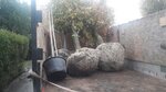 Jaksics Faiskola (Pest vármegye, Külső Budai út), peyzaj tasarımı  Pest'den