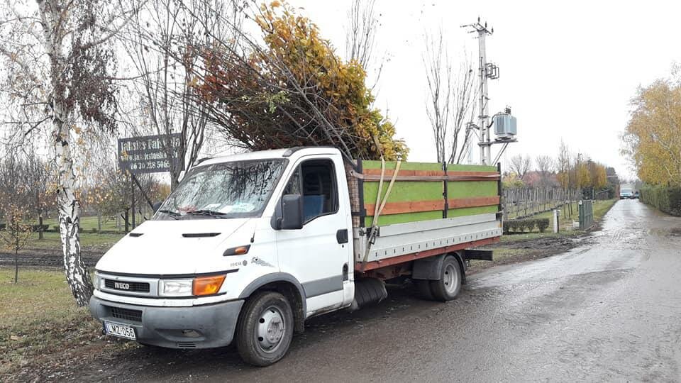 Peyzaj tasarımı Jaksics Faiskola, Pest, foto