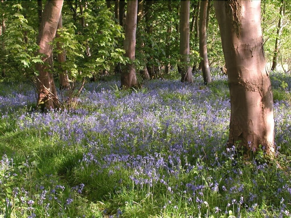 Otel The Milking Parlour, Wiltshire County, foto