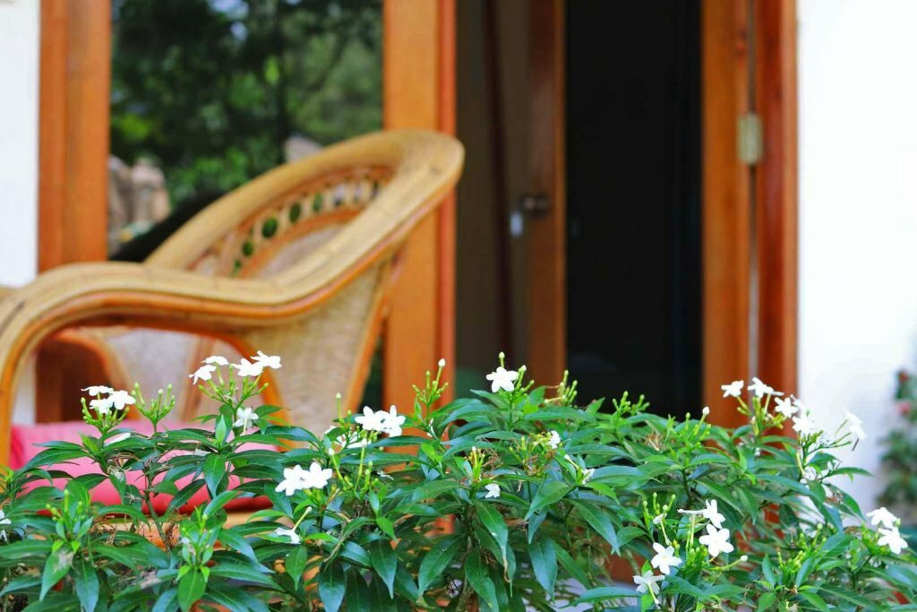 Otel Sam Papa Pippo Bungalows, Sianukvil, foto