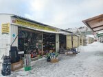 Avto_tuning_31 (Belgorod, Belgorodskoe Settlement), oto aksesuarları  Belgorod'dan