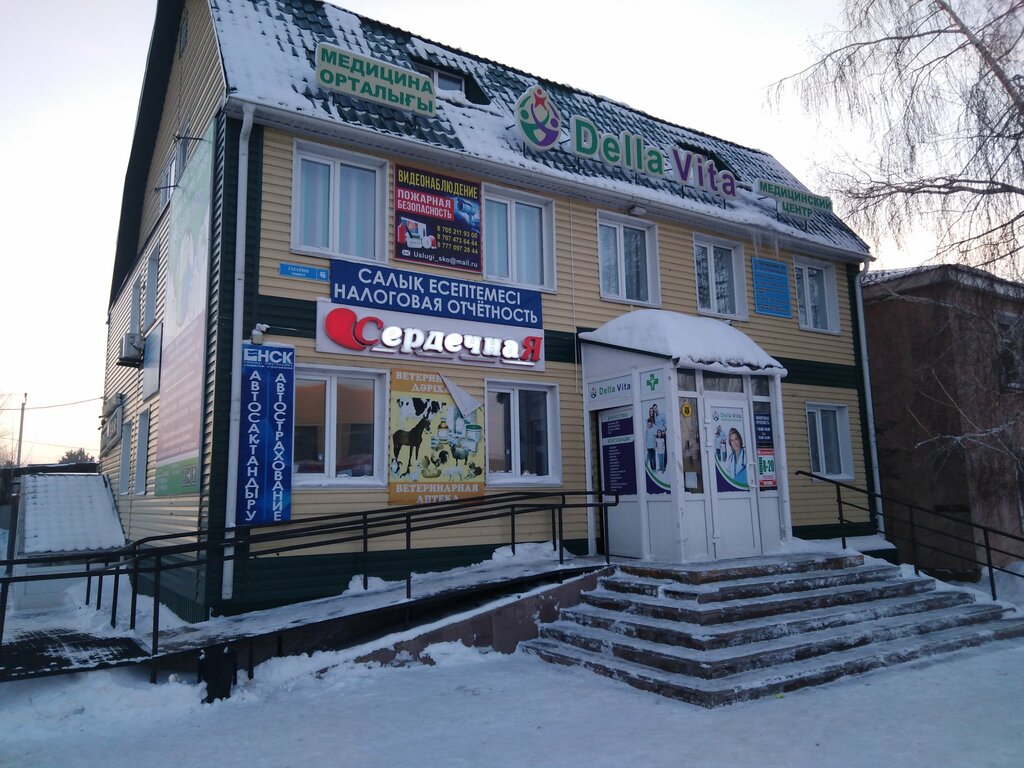 Bilgisayar teknik servisleri Add, Kuzey Kazakistan eyaleti, foto